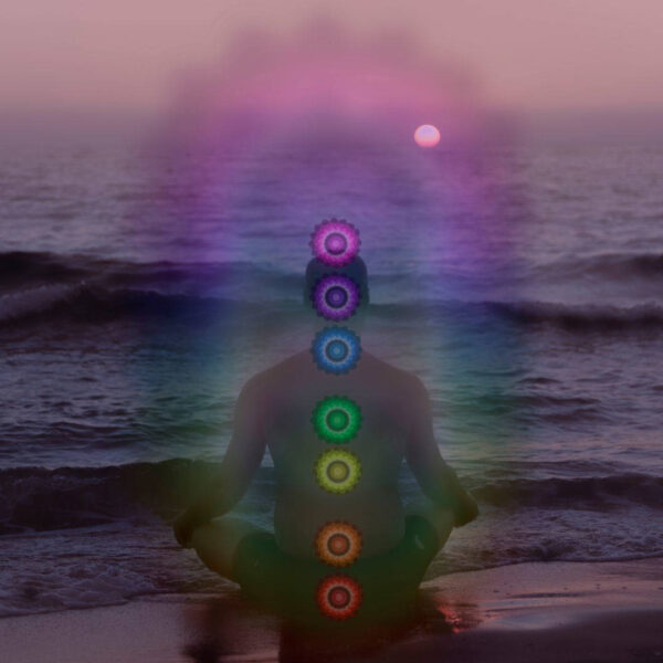 Quais são os 7 corpos sutis? - Essencia Lotus